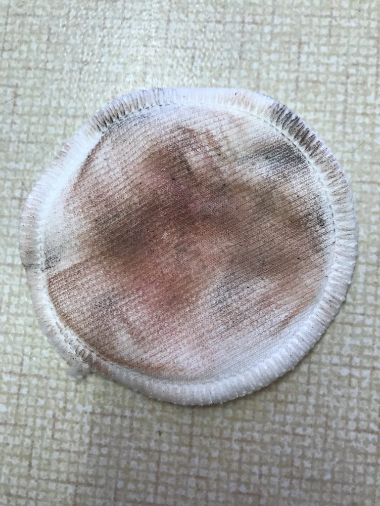Review: Ecopanda Reusable Make Up Remover Pads - Boots, Shoes & Fashion